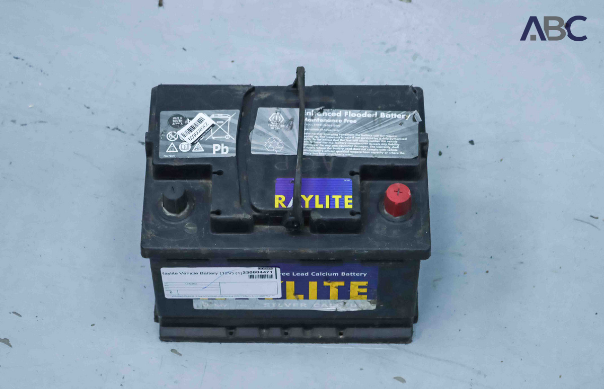 Raylite Vehicle Battery (12V) (1)